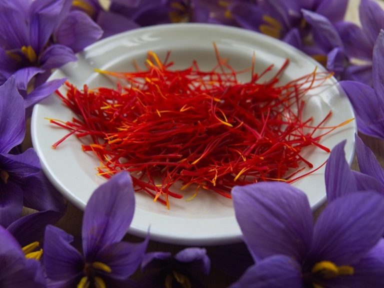 Safflower vs Saffron: What Is The Difference? - Asian Recipe