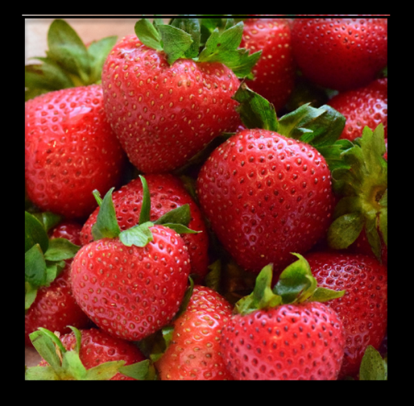 20 Different Types Of Strawberries With Images – Asian Recipe