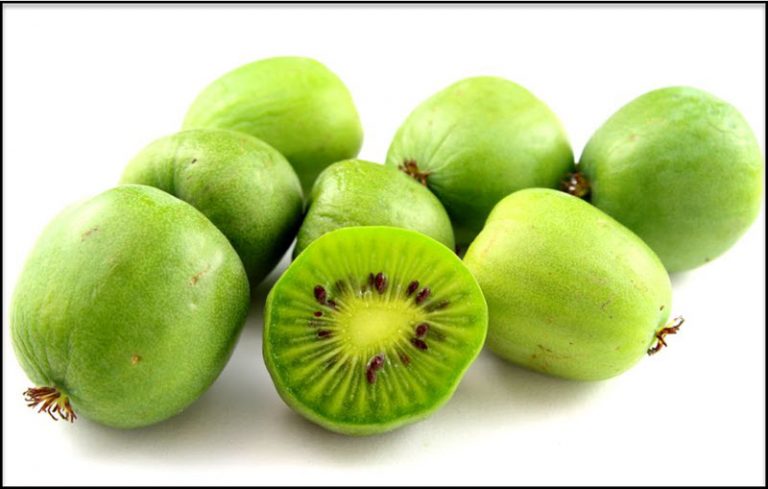 25 Different Types Of Kiwi With Images - Asian Recipe