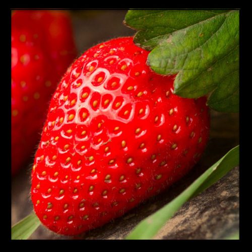 20 Different Types Of Strawberries With Images - Asian Recipe