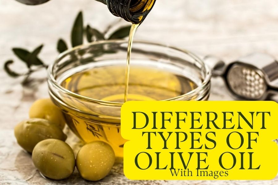 6 Different Types Of Olive Oil With Images - Asian Recipe