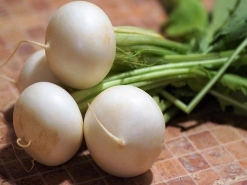 20 Different Types Of Turnip With Images - Asian Recipe