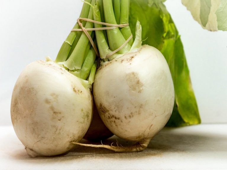 20 Different Types Of Turnip With Images - Asian Recipe