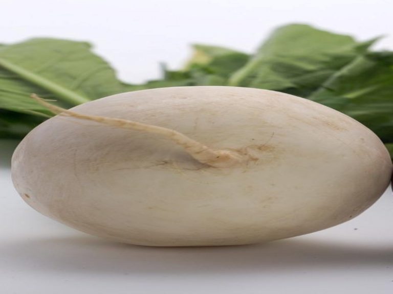 20 Different Types Of Turnip With Images - Asian Recipe